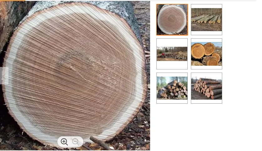 African Hardwood Logs/hot Sales Teak Wood,Round Logs - Buy Exotic ...