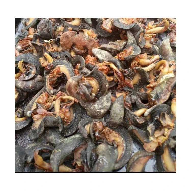Fresh African Giant Snail/dried Snail Exporters - High Quality Edible ...