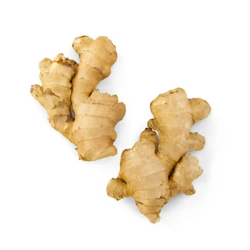 High Quality Fresh Elephant Ginger 2023 Fresh Ginger Export - Buy Fresh ...