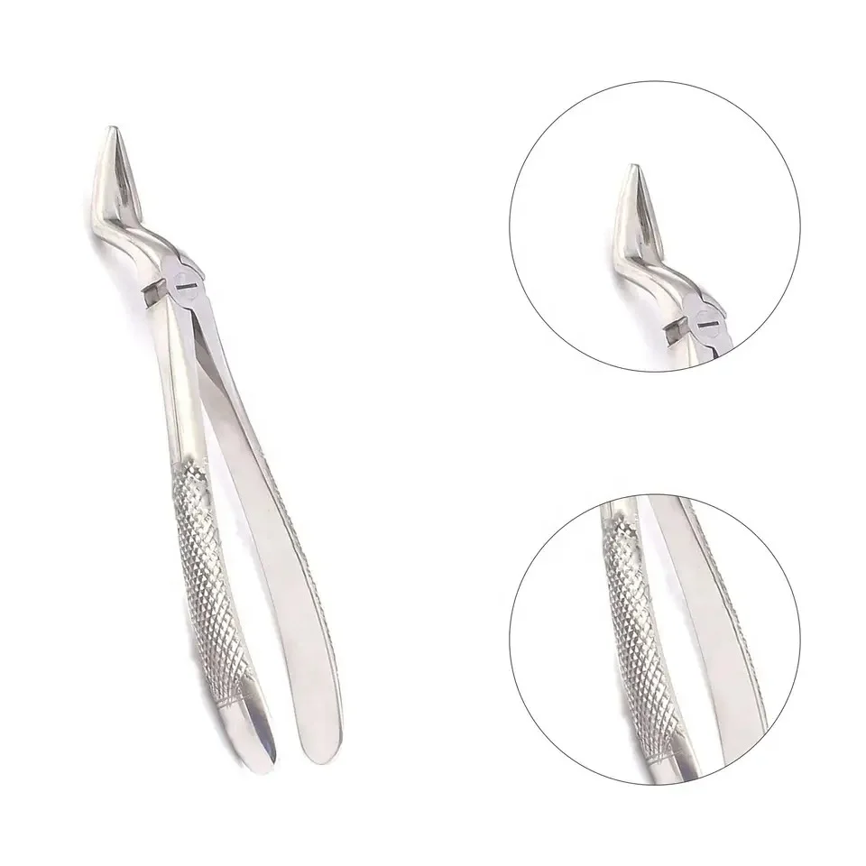 Alibaba.com: Pakistan Factory Dental Extraction Forceps for Upper ...
