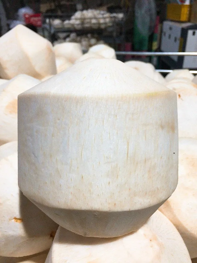 Fresh Coconut Diamonds from Vietnam - Perfect for Beverages
