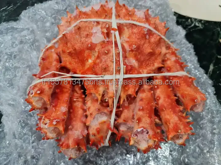 Fresh Red King Crab Fresh/frozen/live Red King Crabs,Soft Shell Crabs,Blue Swimming Crabs & Snow ...