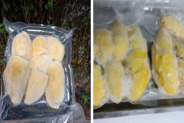 Frozen Durian Fresh Durian From ECOBLUELOTUS in Vietnam| Alibaba.com