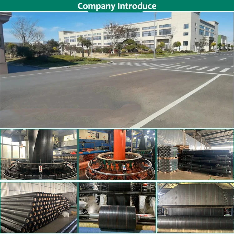 Weed Barrier Landscape Fabric Heavy-duty Gardening Weed Control Mat ...