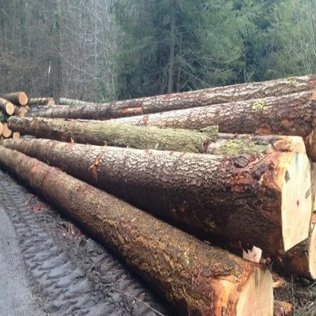 Cheap Pine Wood Logs Make Sawn Timber Original For Sale - Buy Timber ...