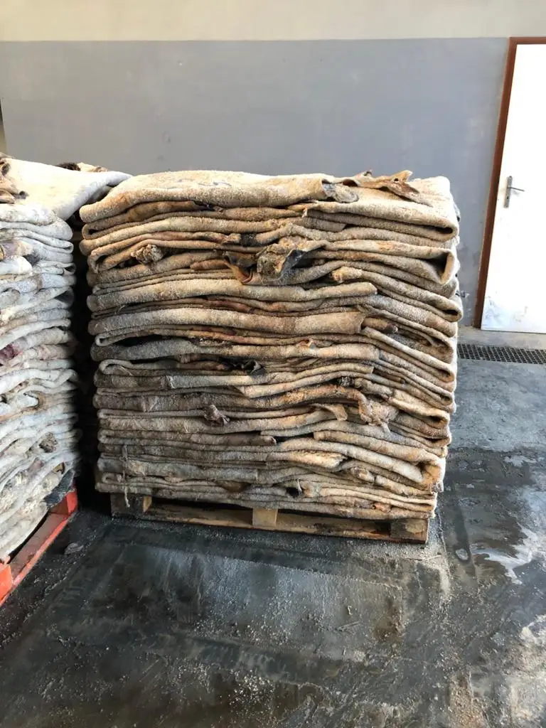 Dry And Wet Salted Cow Hides / Skins / Animal Cattle Hides Available ...