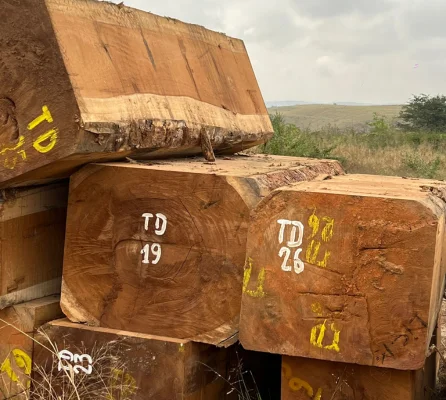 Ktimber African Takula-padouck Natural Wood Hard Wood Raw Materials ...