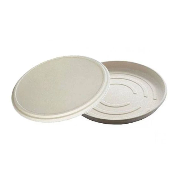 Eco-friendly Pizza Boxes - Customizable & Biodegradable