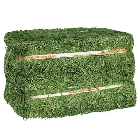 Quality Alfalfa Hay / Alfalfa Hay Pellets / Wheat Bran Pellets - Buy ...