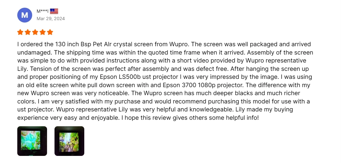 Wupro 130" Seamless Premium BSP PET ALR Projection Screen