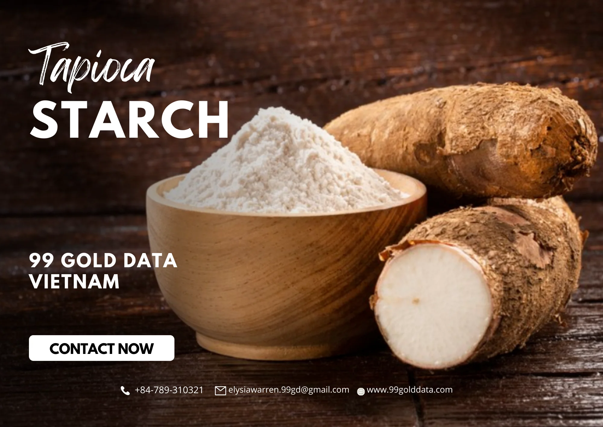 VIETNAM MODIFIED TAPIOCA STARCH for INDUSTRY - LOW PRICE HIGH QUALITY ...