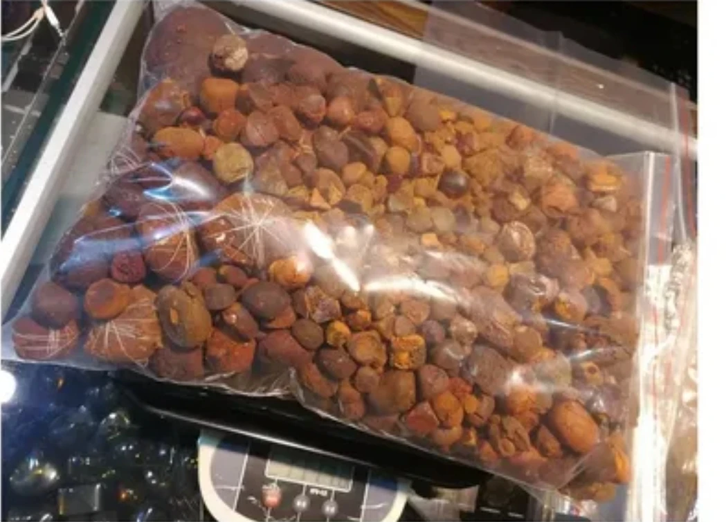 Natural Cow Gallstone Ox Gallstone Outstanding Natural 100% - Buy ...