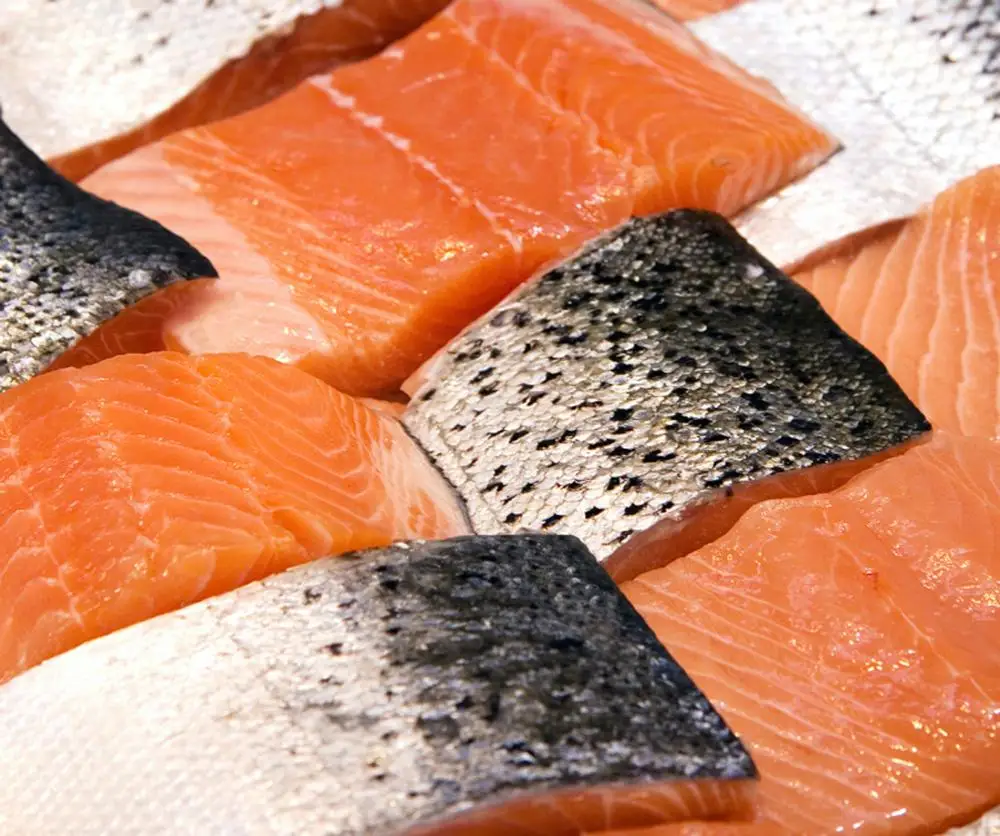 High Quality Farmed Salmon Or Wild Caught Salmon Fish At Low Price ...