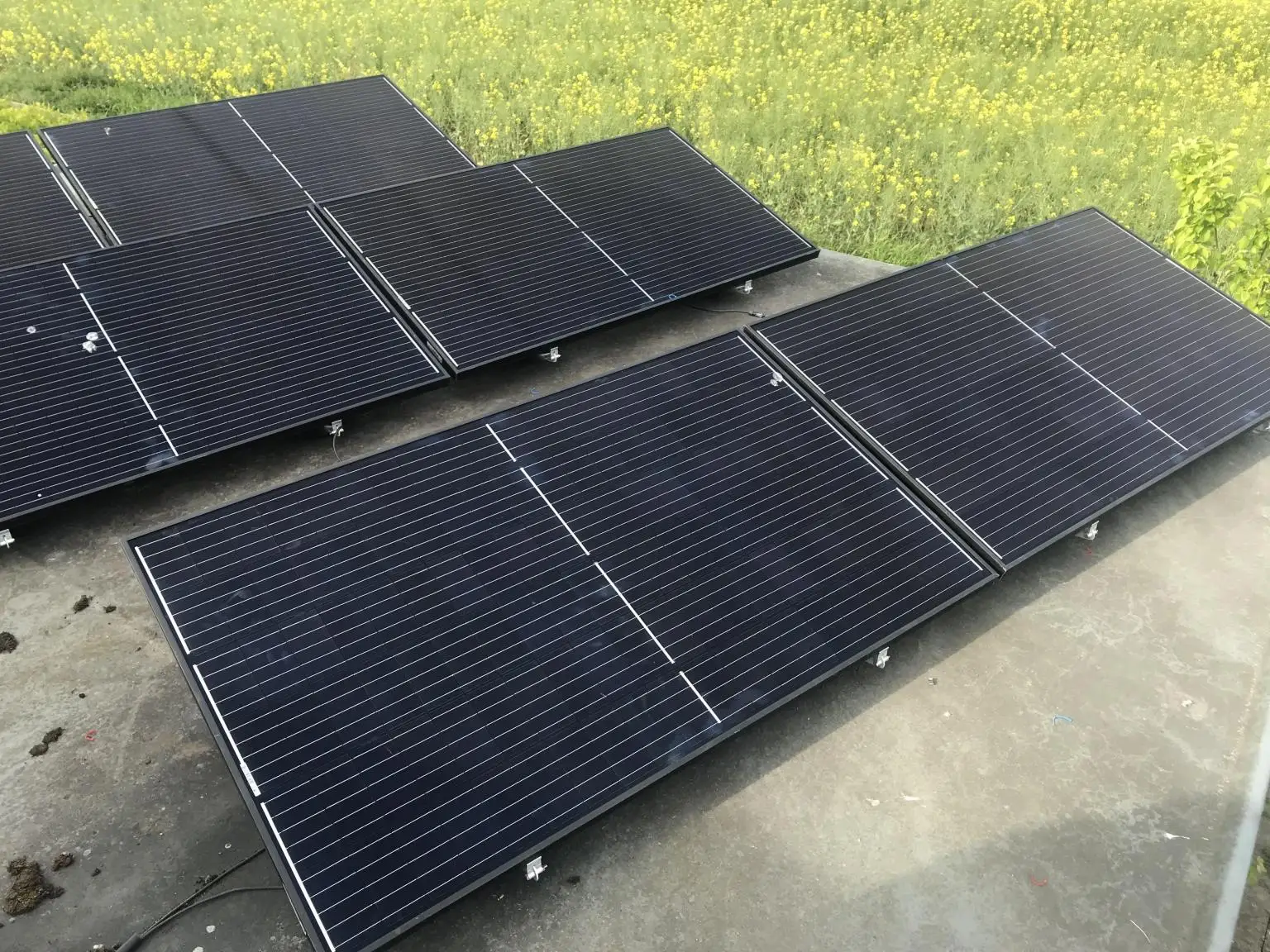 Sunpal Solar Co., Ltd.