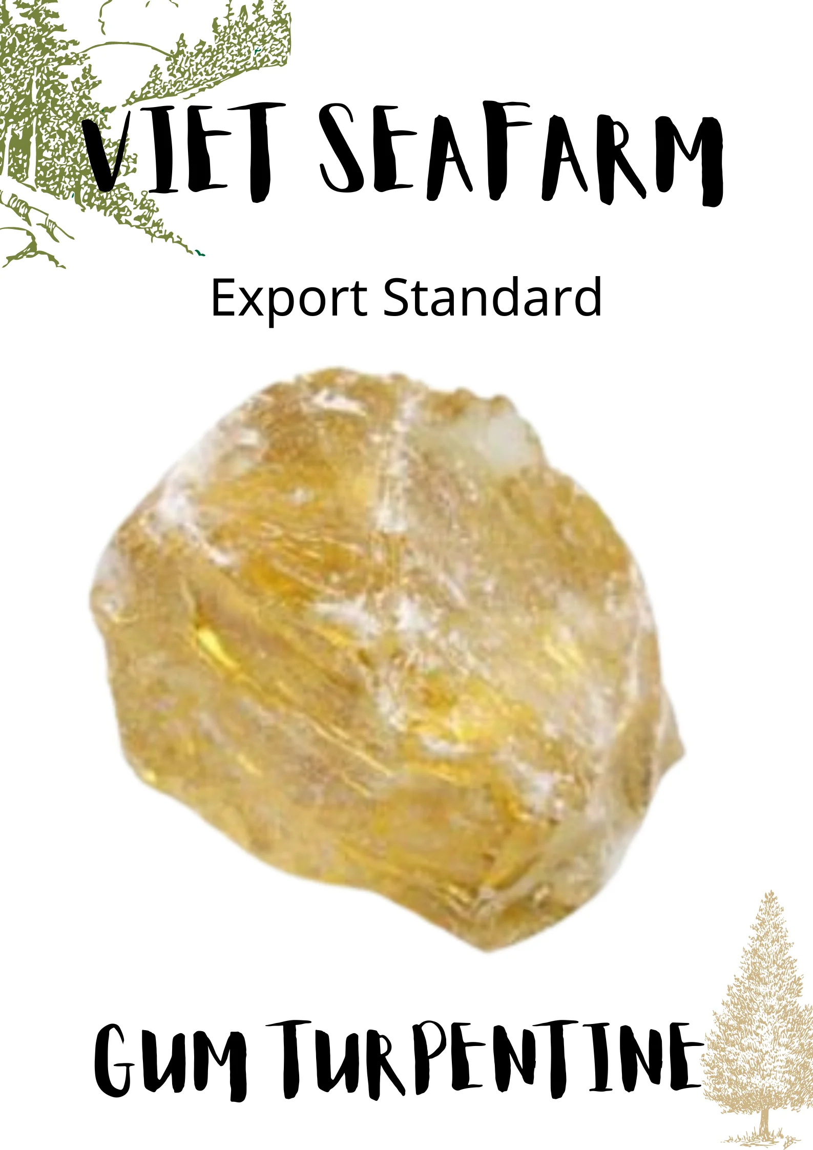 Gum Turpentine From Vietnam With Competitive Price And High Quality ...