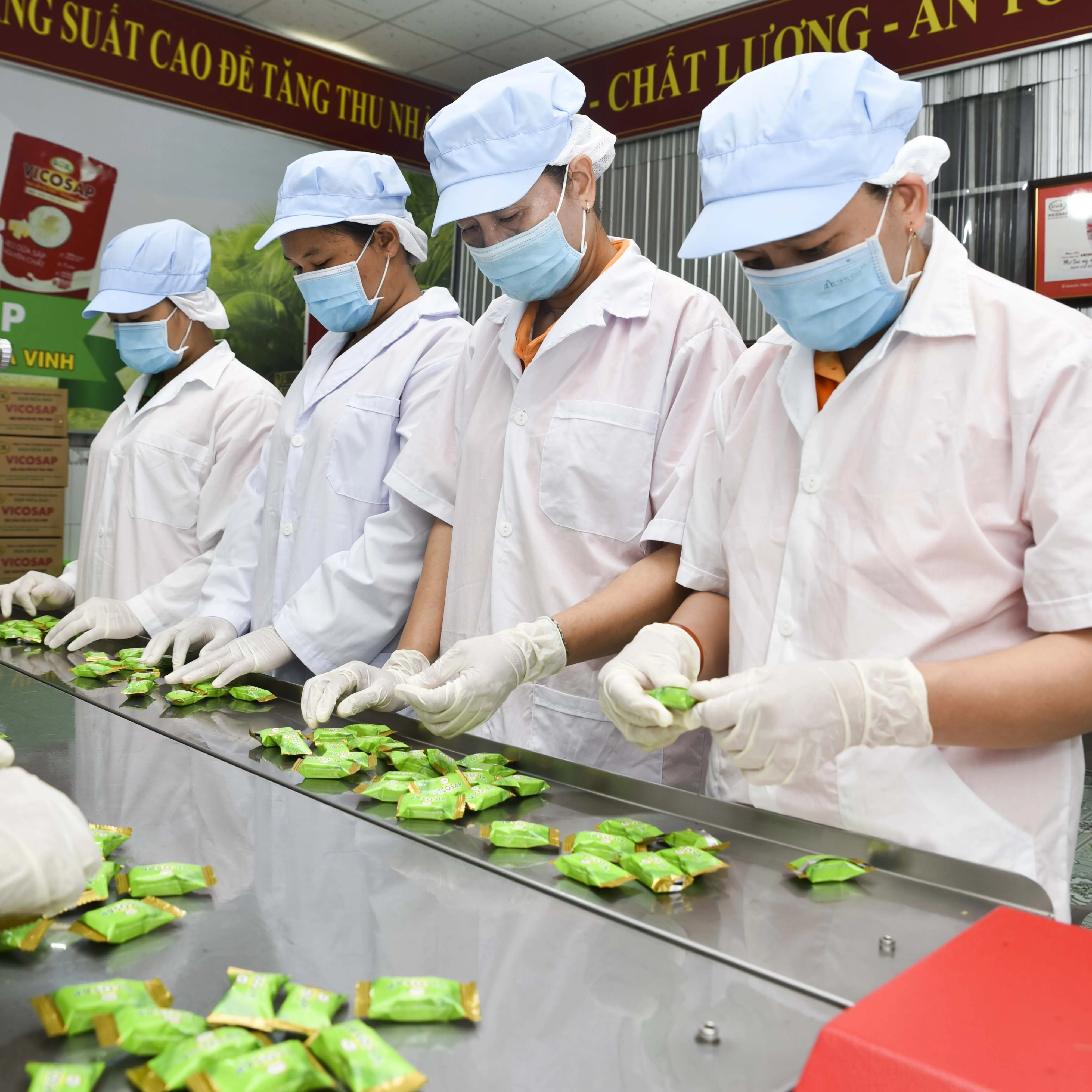 Company Overview - CAU KE MACAPUNO PROCESSING CO.,LTD