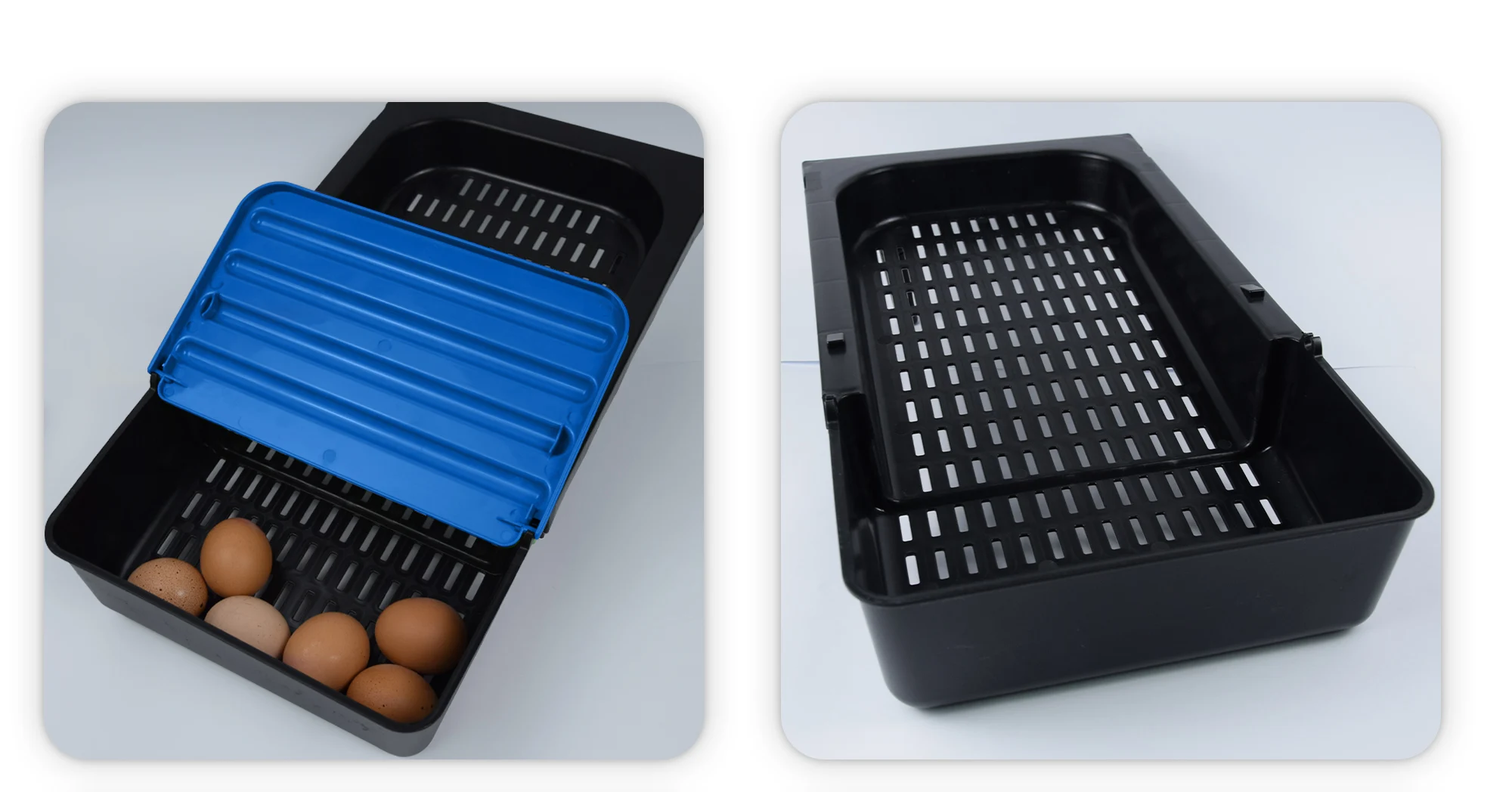 Innovative Egg Collecting Tray For Chicken Laying Nest Box Blue Color ...