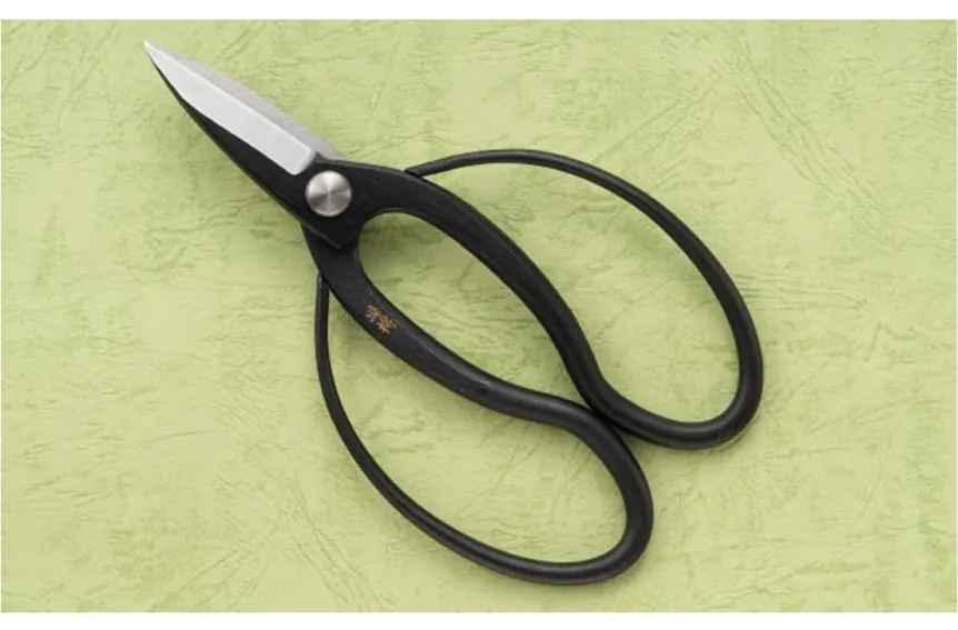 Made in Japan Traditional Steel Bonsai Scissors Okubo Bonsai Scissors ...