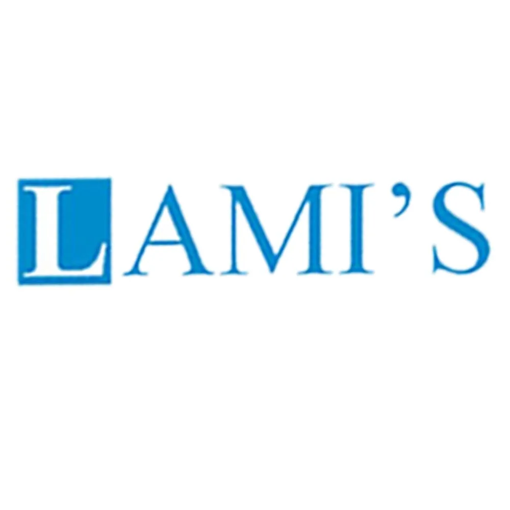 Company Overview - Lami's Industries