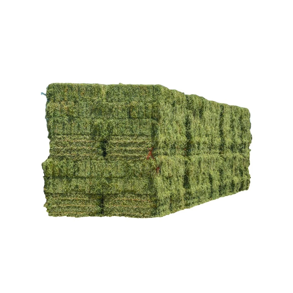 Premium Rhodes Grass Hay Bales For Animal Feed And Forage Best Quality ...