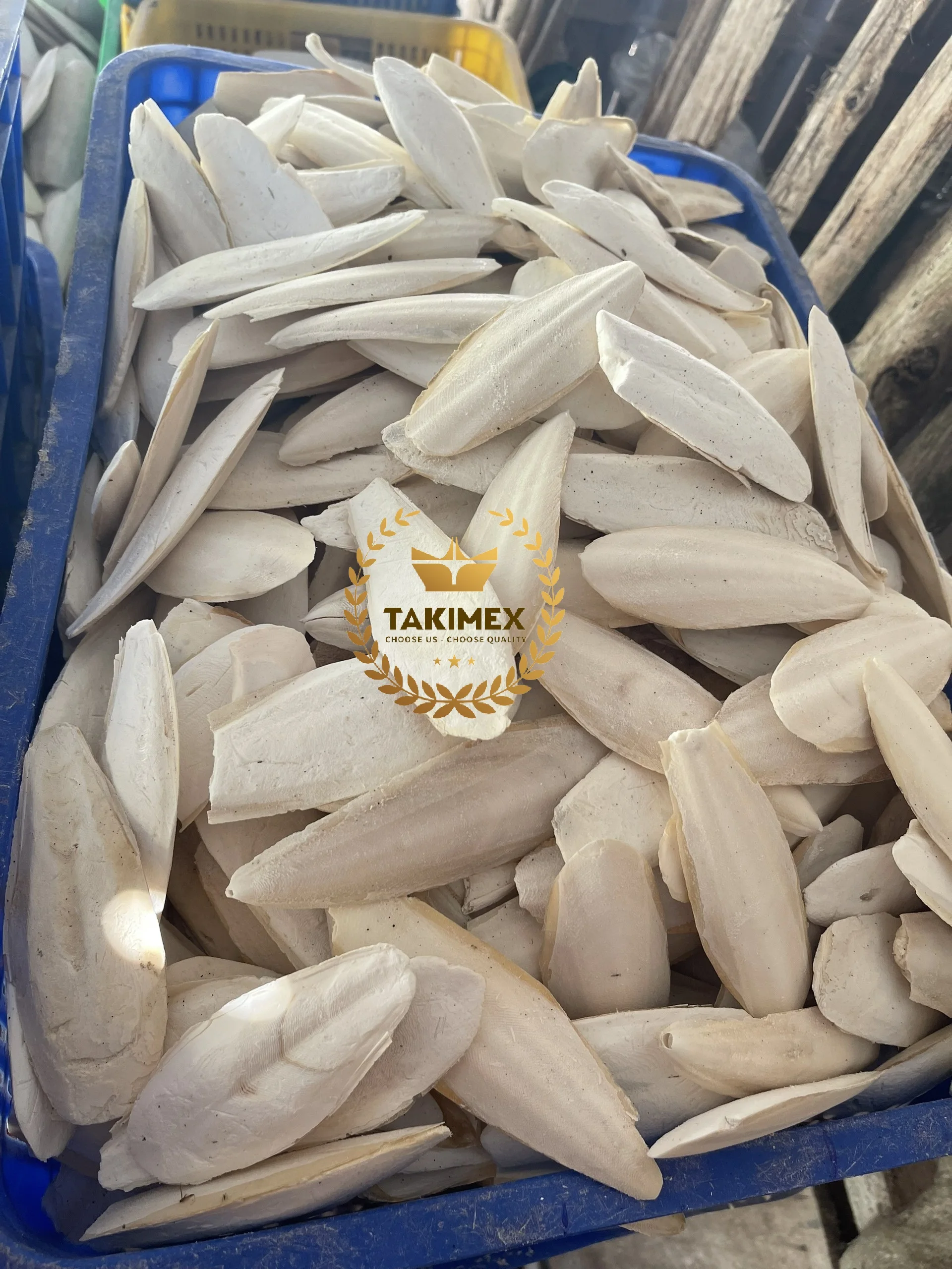 Very High Quality Dried Cuttlefish Bone/ Cuttle Bone/ Sepia Bone ...