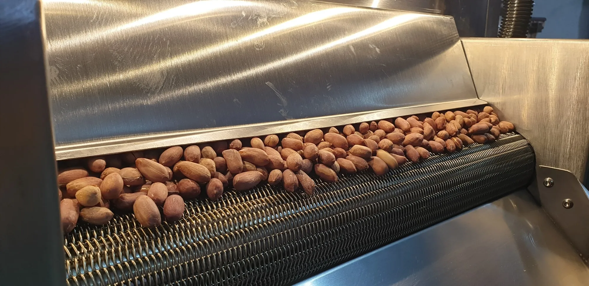 Nuts Roasting Production Line - Almond, Cashew, Hazelnut