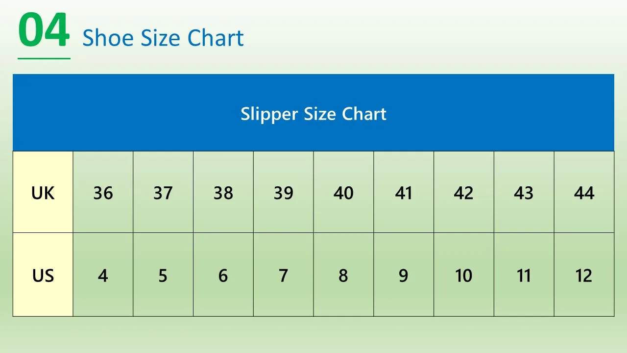 KAWAZAKI ESD Slipper Shoes - High Quality Anti-Static Lab Safety