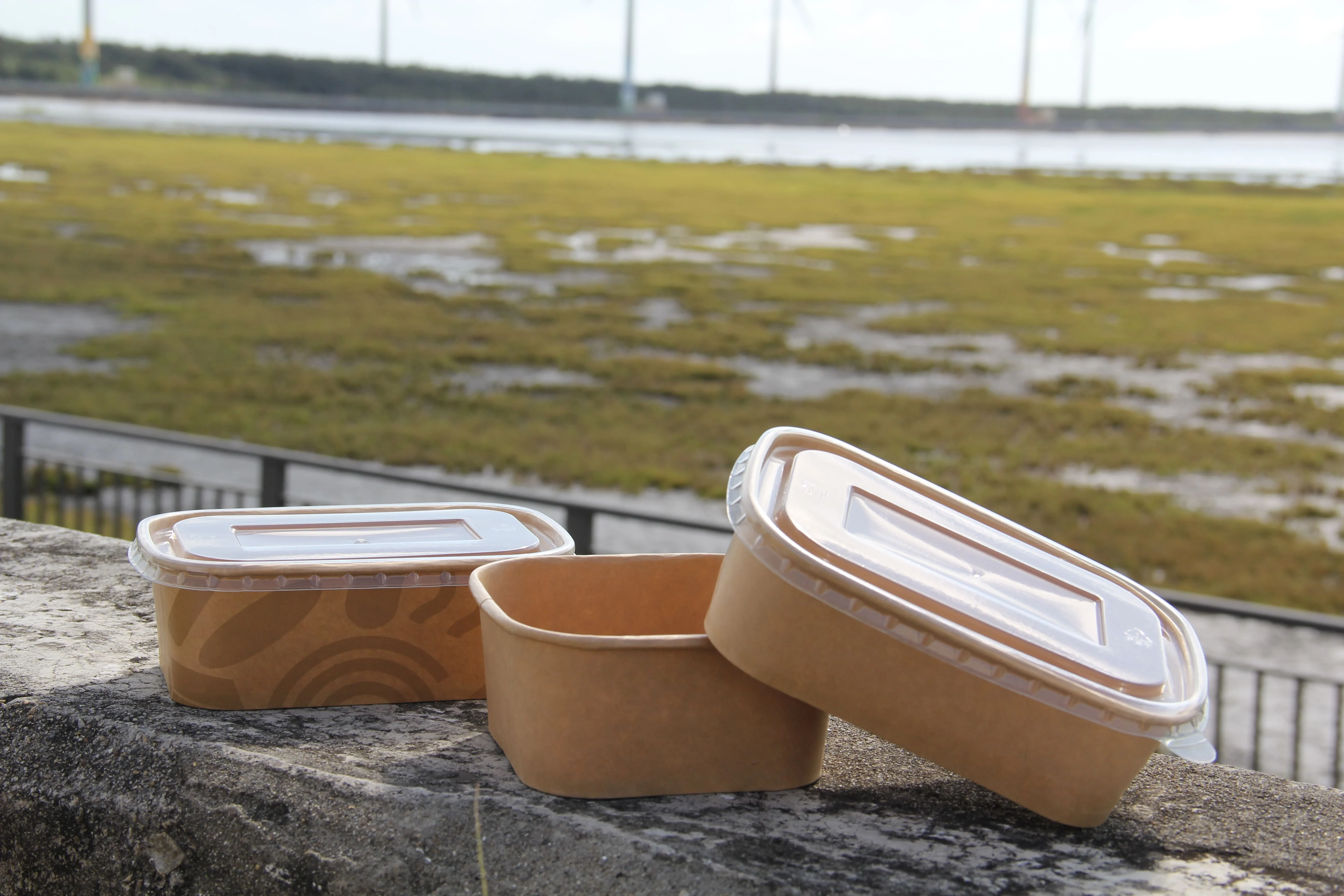 1320ml Dispersion Coating Square Paper Container For Wholesale Market ...