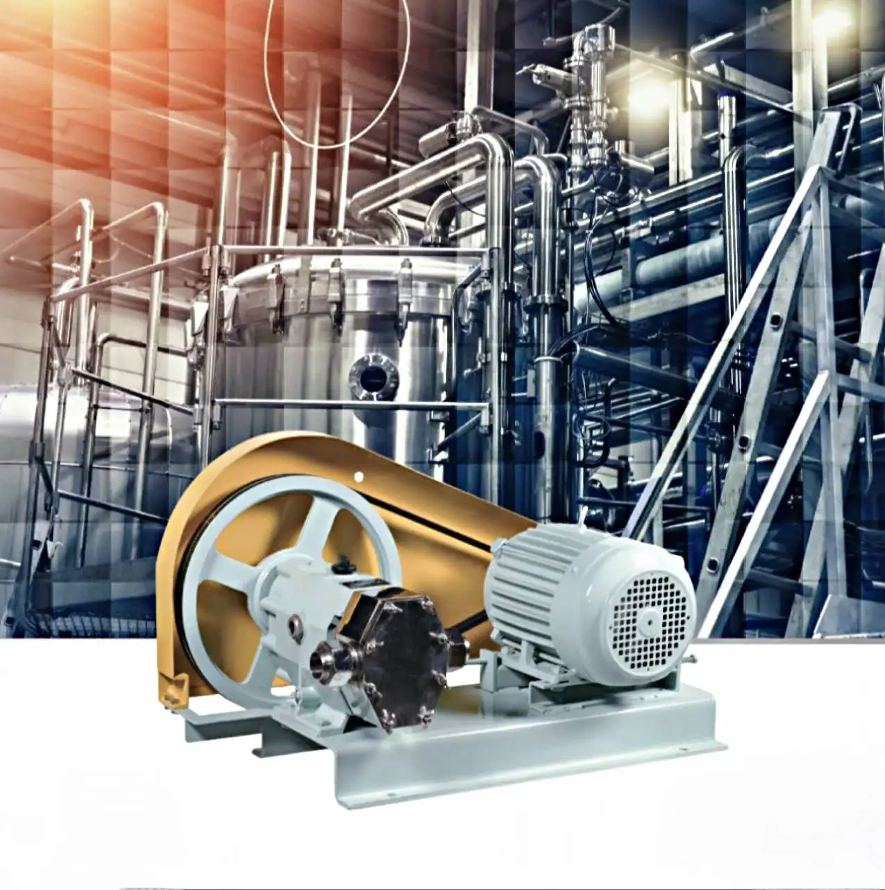 ISO9001 Certified High Pressure ST Rotary Lobe Sanitary Pump with OEM ...
