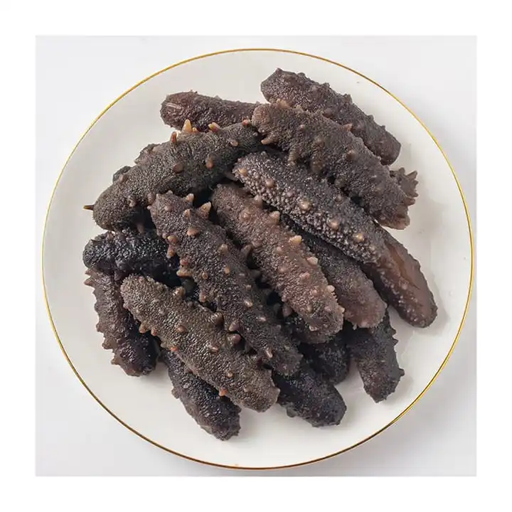 Sun Dried Nutritious Mexican Sea Cucumber/ Fresh Sea Cucumber Global ...