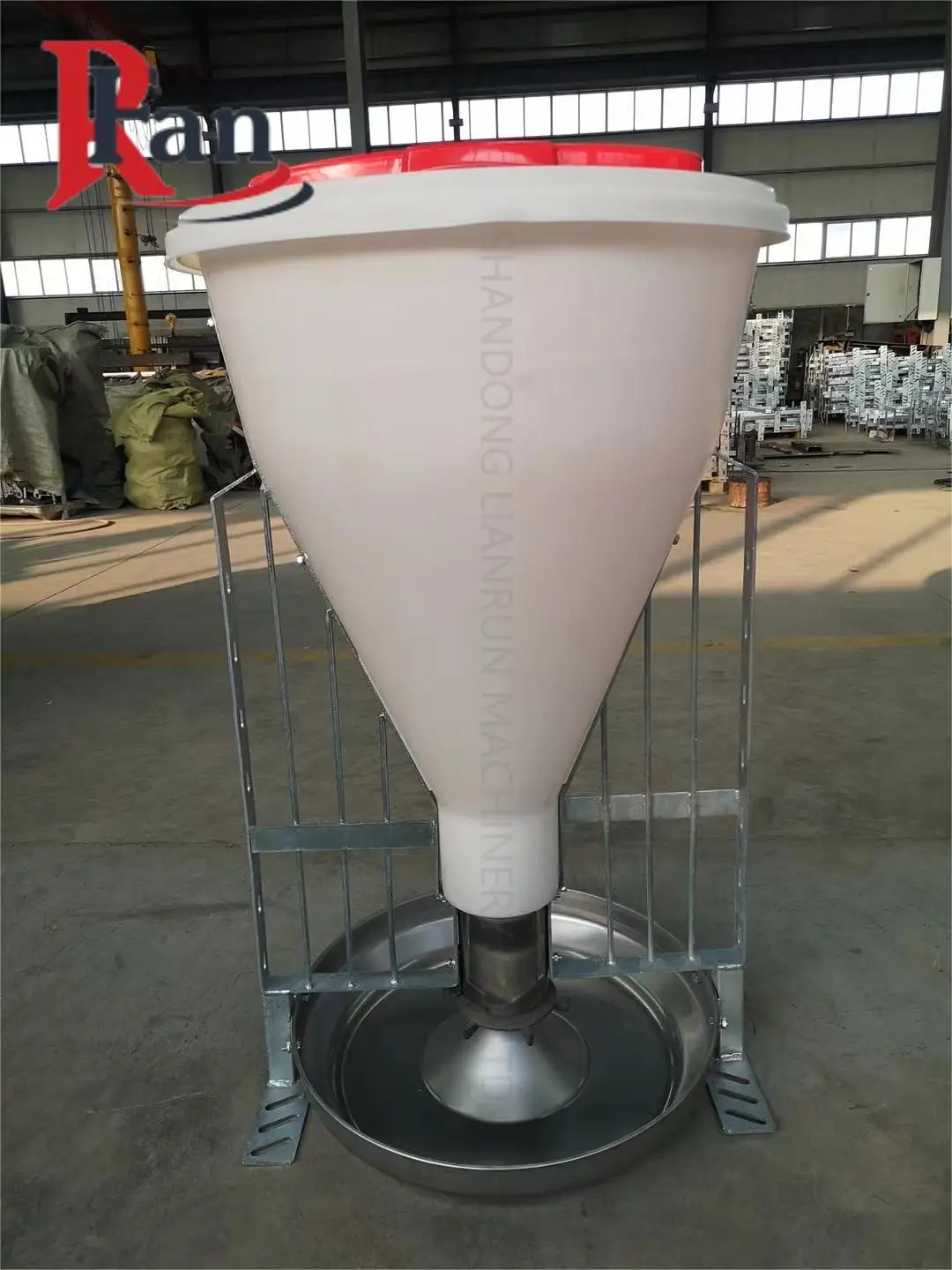 Automatic Feeding Pan Systems for Pigs - Save Feed & Increase Intake