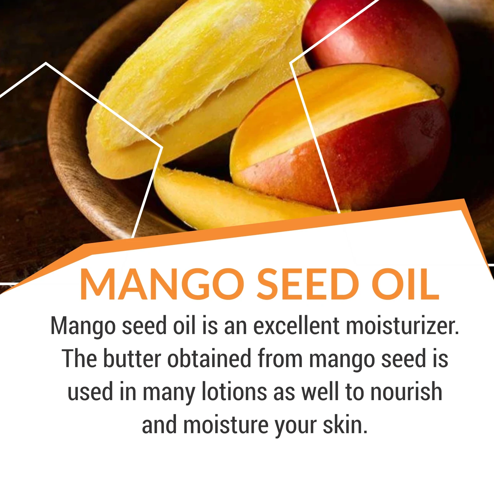 Salvia Mango Seed Oil 100% Pure And Natural Lowest Price Customized ...