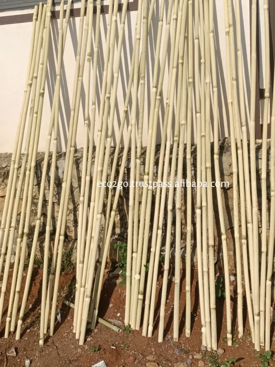 Natural Painted Bamboo Poles Mark Dangerous Snow Areas Handcrafted With ...