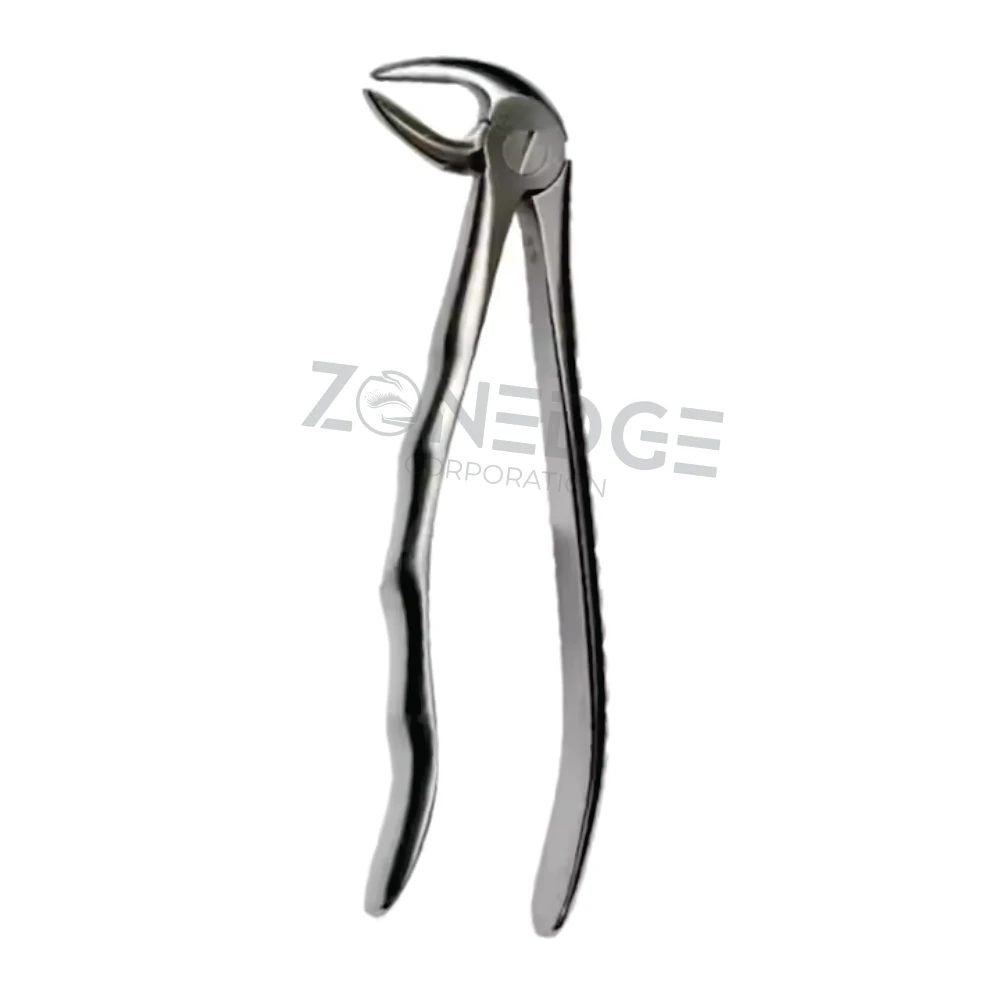 Curved Lower Molar Extraction Dental Forceps Heavy Stainless Steel ...