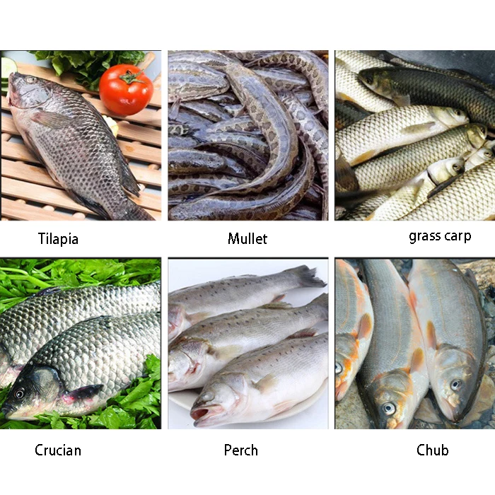 Killing open back/belly aio automatic-fish-cleaning-machine fish ...