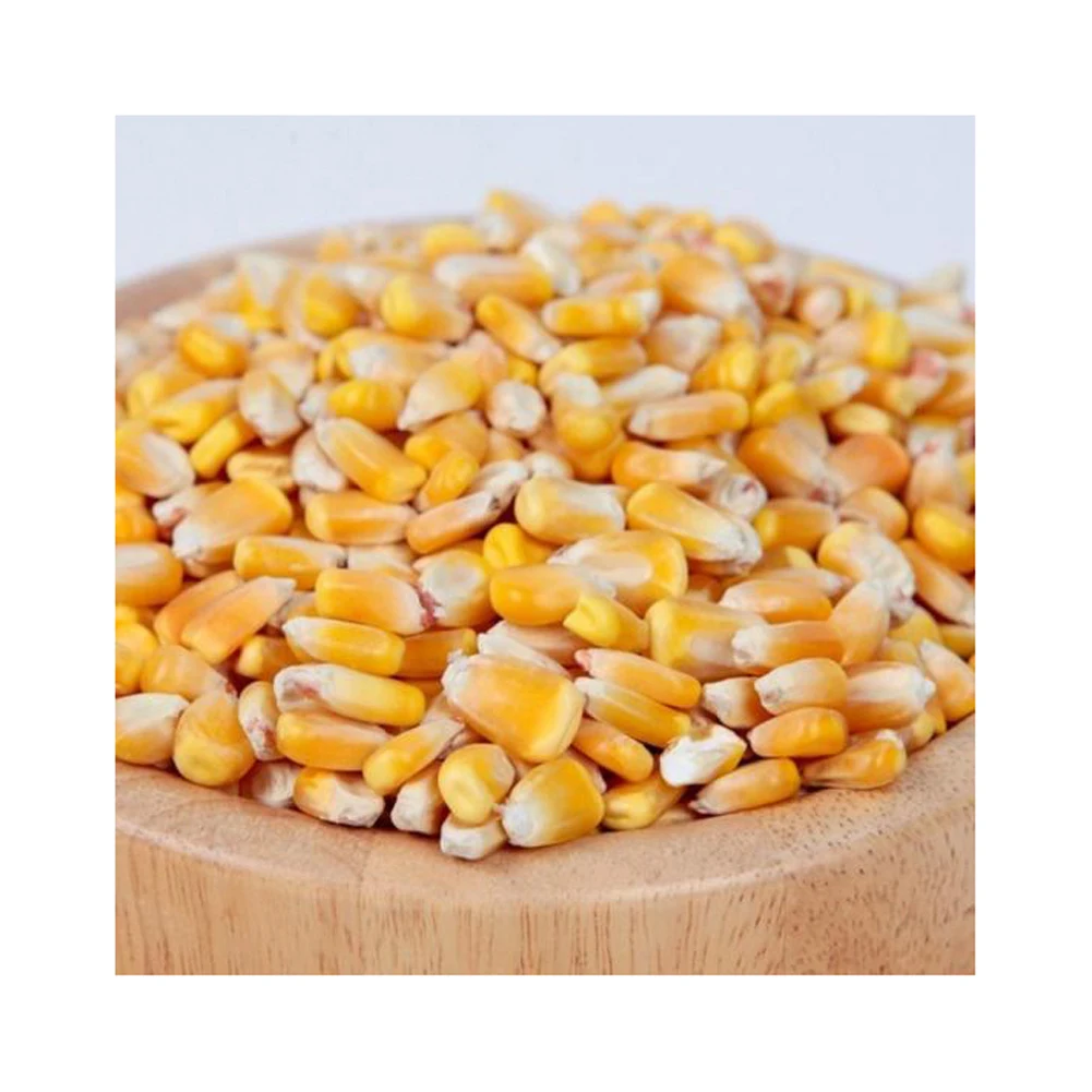 Yellow Maize/yellow Corn Chicken Feed Prices/animal And Bird Feed ...
