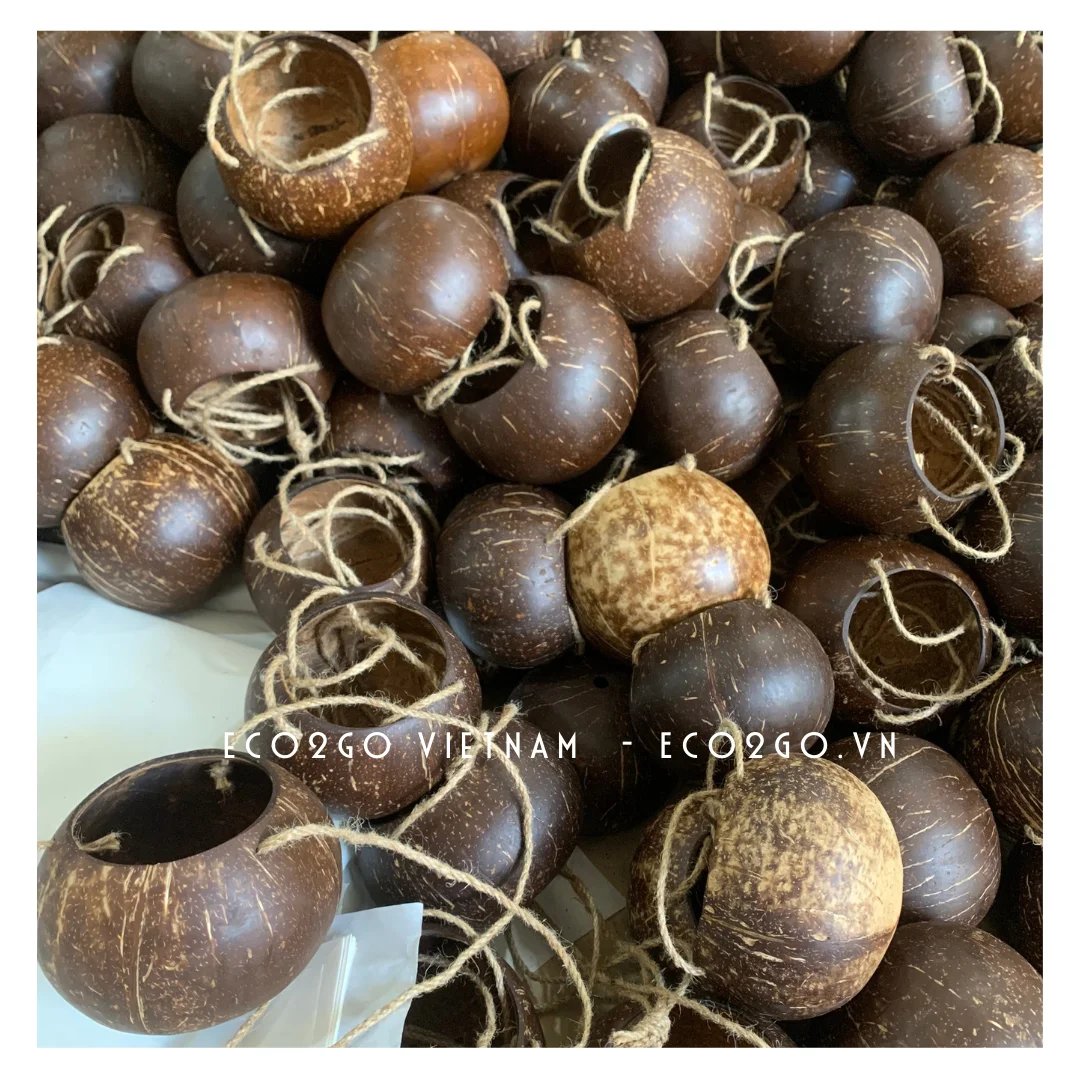 Hot Sale 2024! Eco-friendly Coconut Plant Pot Holder / Coconut Shell ...