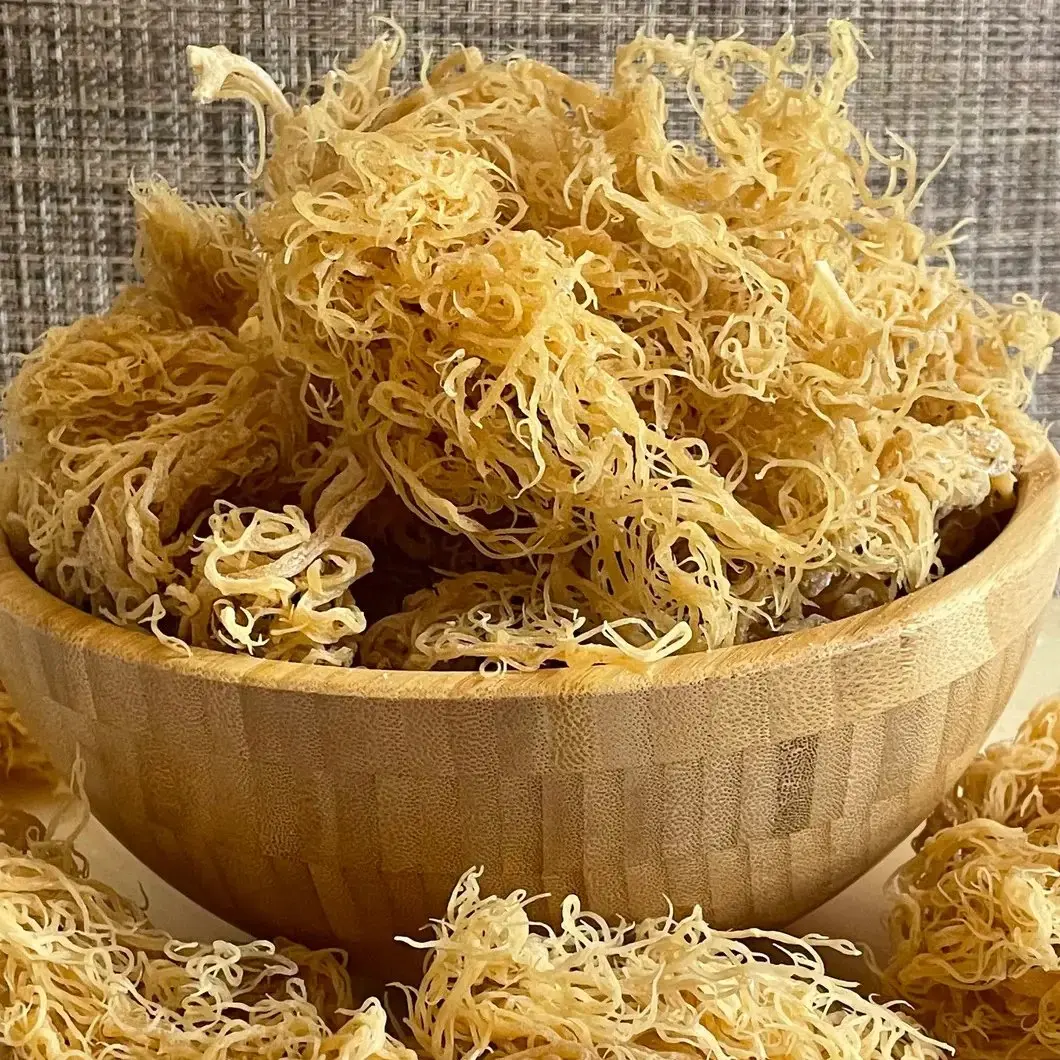 Marine Wellness Superfood Dried Seamoss Hot Deal 2024 Premium Seamoss ...