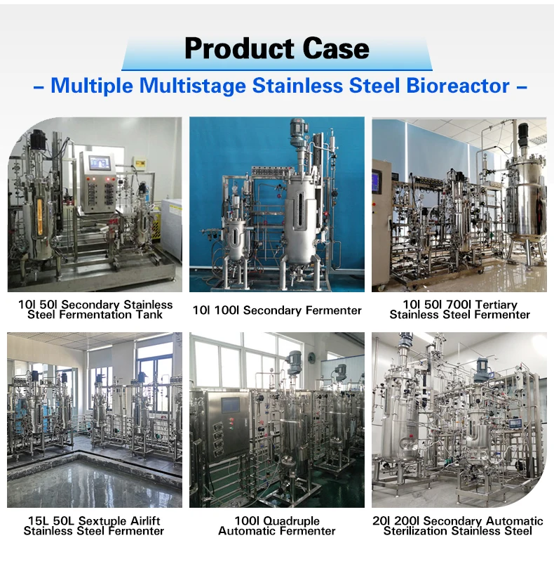 Laboao Industrial Glass Bioreactor Fermenter For Microbiology Cell ...