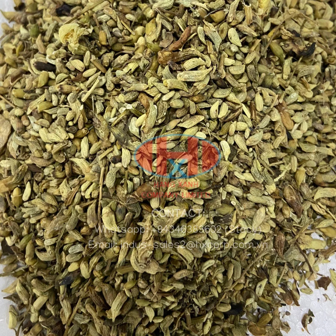 Dried Sophora Japonica Flower/ Sophora Japonica Flower Buds For Tea And ...