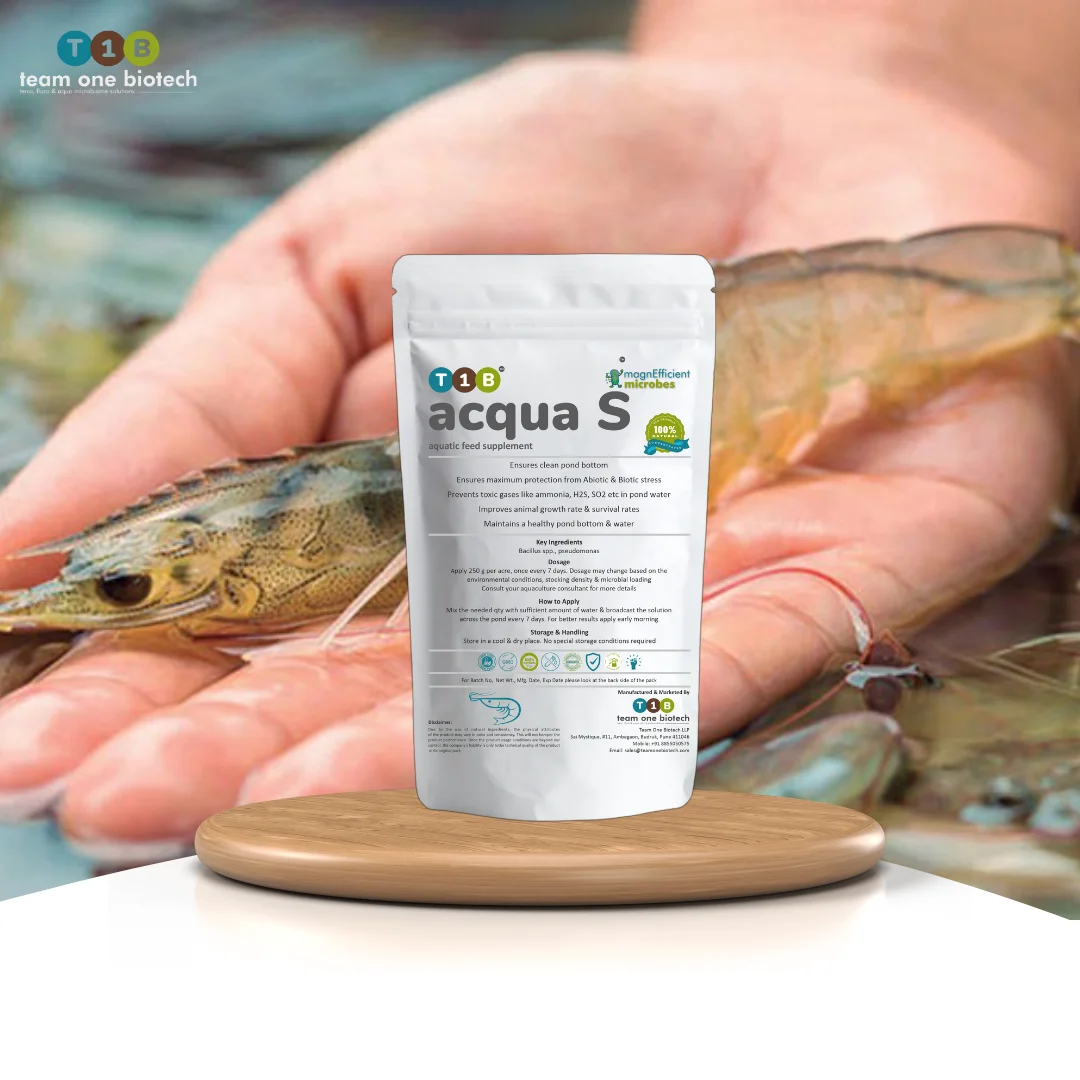 Shrimp Biofloc Probiotics for Aquaculture Effective in Reducing COD ...