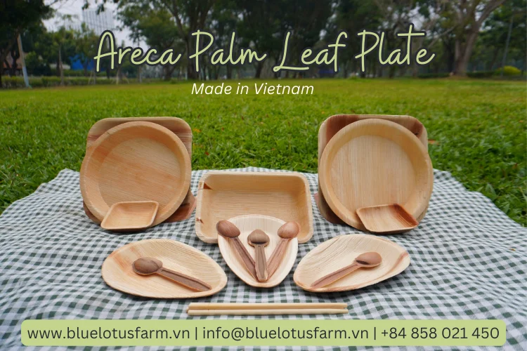 Produced In Vietnam,The Palm Leaf Plate Areca Is An Eco-friendly Dishware That Is Disposable For ...