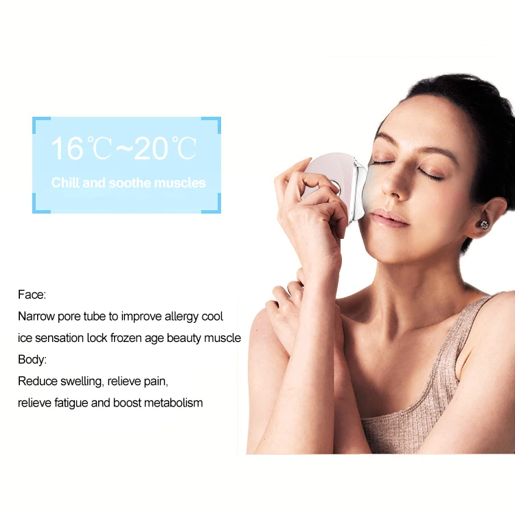 Microcurrent Anti-aging Skincare Repair Facial Gua Sha Massager Ems ...