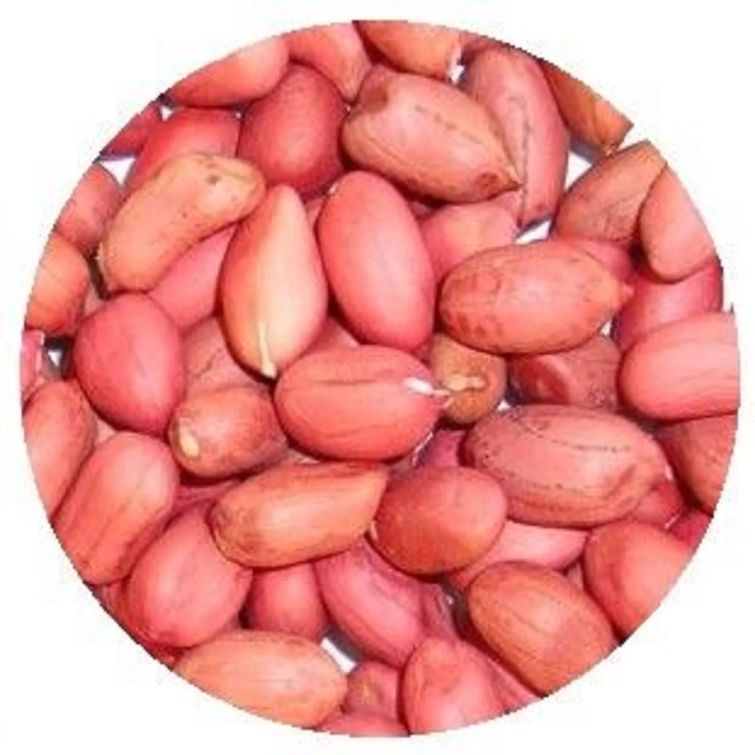 High Grade Wholesale Natural Bulk Fresh Peanut From Usa Manufacturer Non-gmo Peanuts - Buy ...