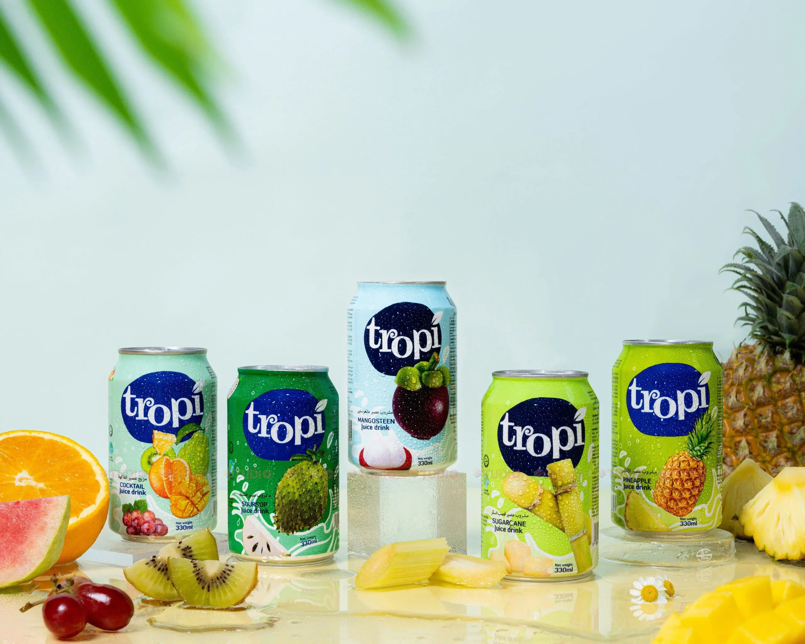 Wholesale|oem Pure Fruit Juice Drink 330ml Can From Vietnam - Tropi ...
