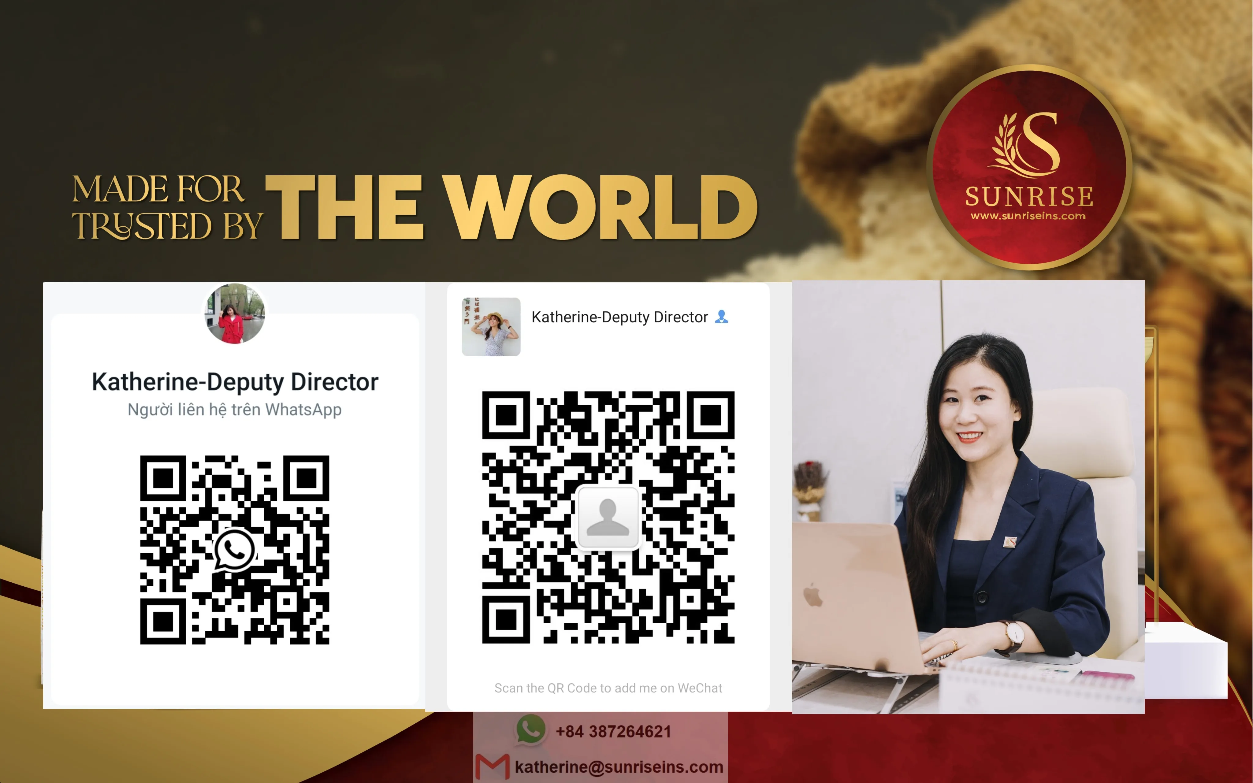 Top Quality Cashew Nuts from Vietnam - Dried & Delicious