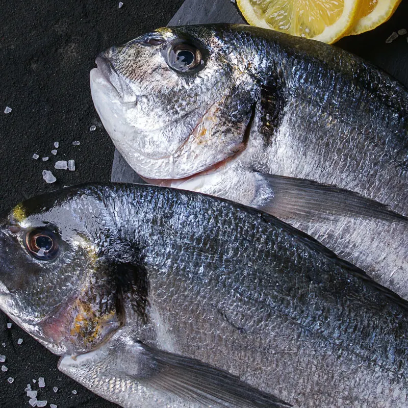 High Quality Seafood Whole Fish Horse Mackerel Frozen Pacific Mackerel ...