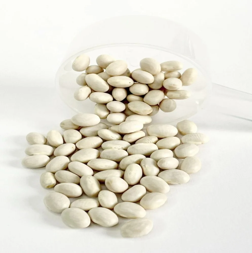 New Harvest Crop 2024 White Kidney Beans Wholesale Navy For Canned Long ...