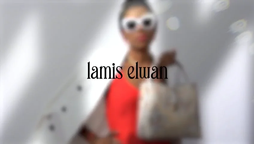 Stylish Wholesale Matching Sets Shoes And Bags Famous Turkish Brand Lamis Woman Bag Printed ...