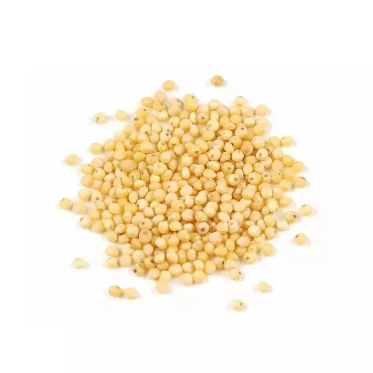 100% Dried Whole Millets Grains For Animal Feed Food Grade Organic ...
